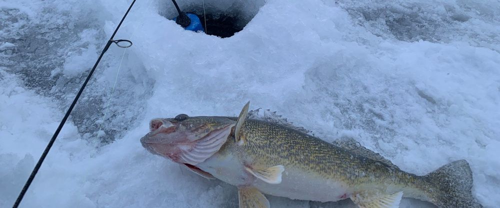 Ice fishing | World Class Fishing Resorts