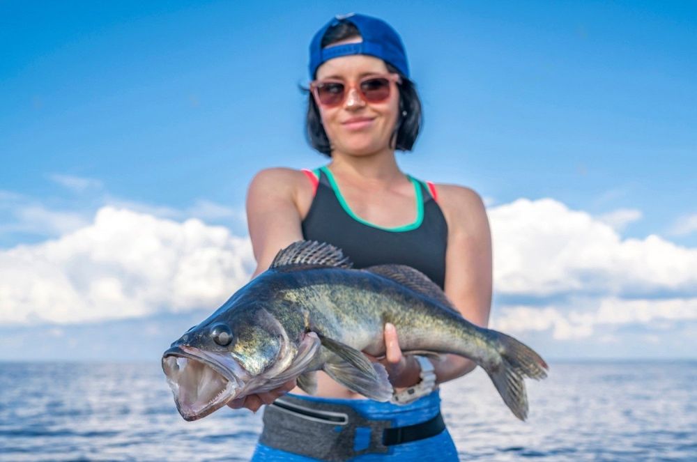 How Old is a 30-inch Walleye? | World Class Fishing Resorts