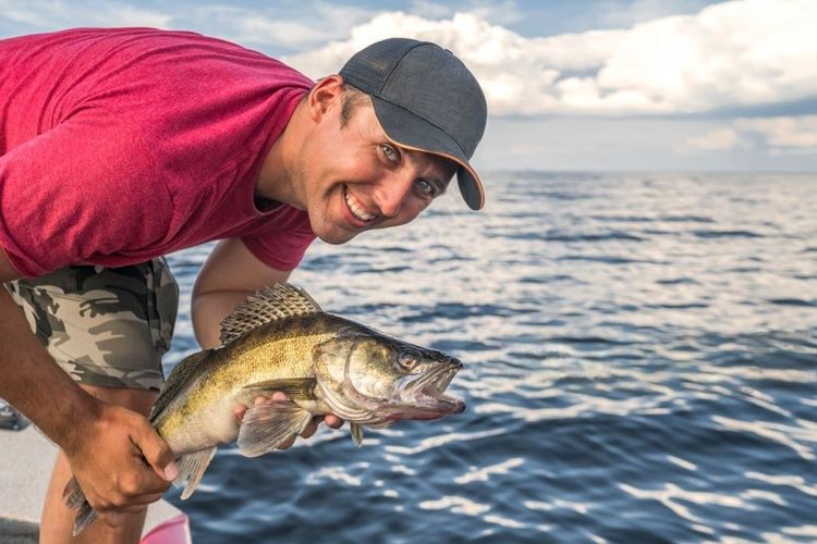 How Big are Walleyes? | World Class Fishing Resorts