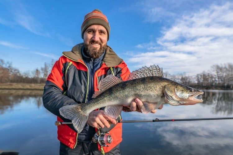 How to catch walleye in the summer? | World Class Fishing Resorts