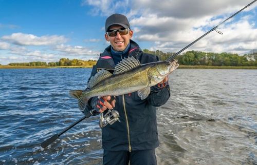 How fast can a walleye swim | World Class Fishing Resorts