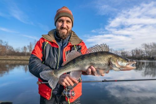 How to catch walleye in the summer? | World Class Fishing Resorts